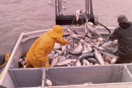 Meet Bruce and Francine | Pasadena Institute For Relationships